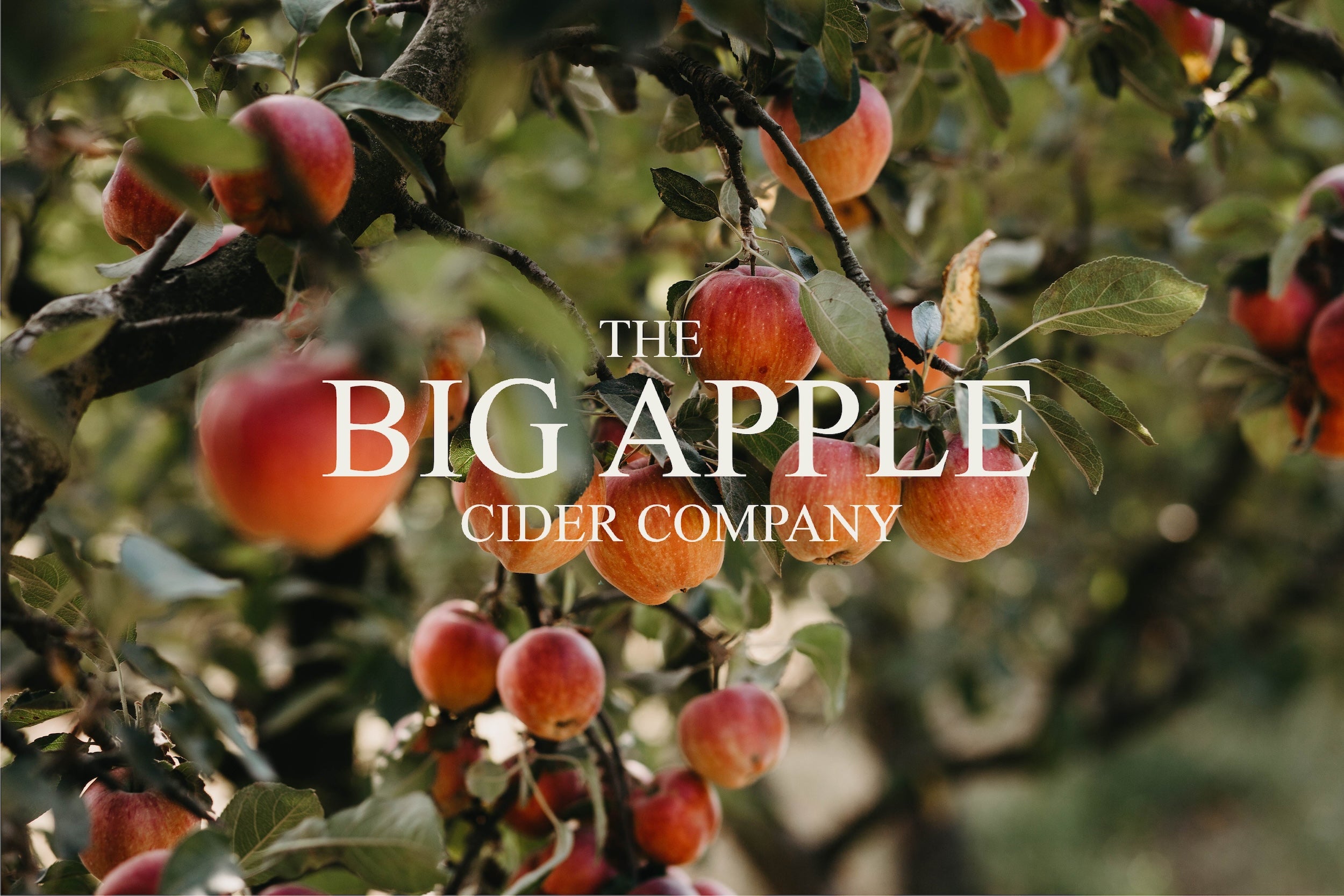 Hornsea Orchard